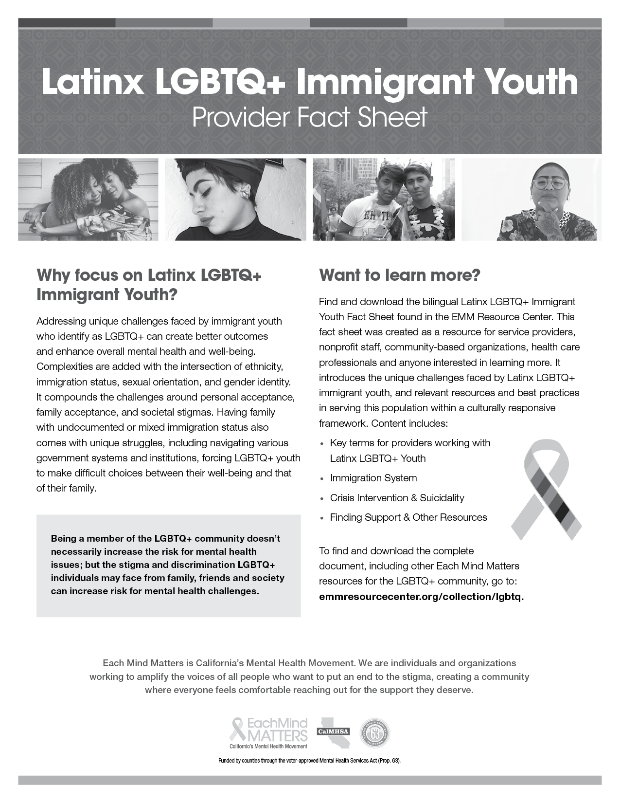 Latinx LGBTQ+ Immigrant Youth Fact Sheet Promotional Handout